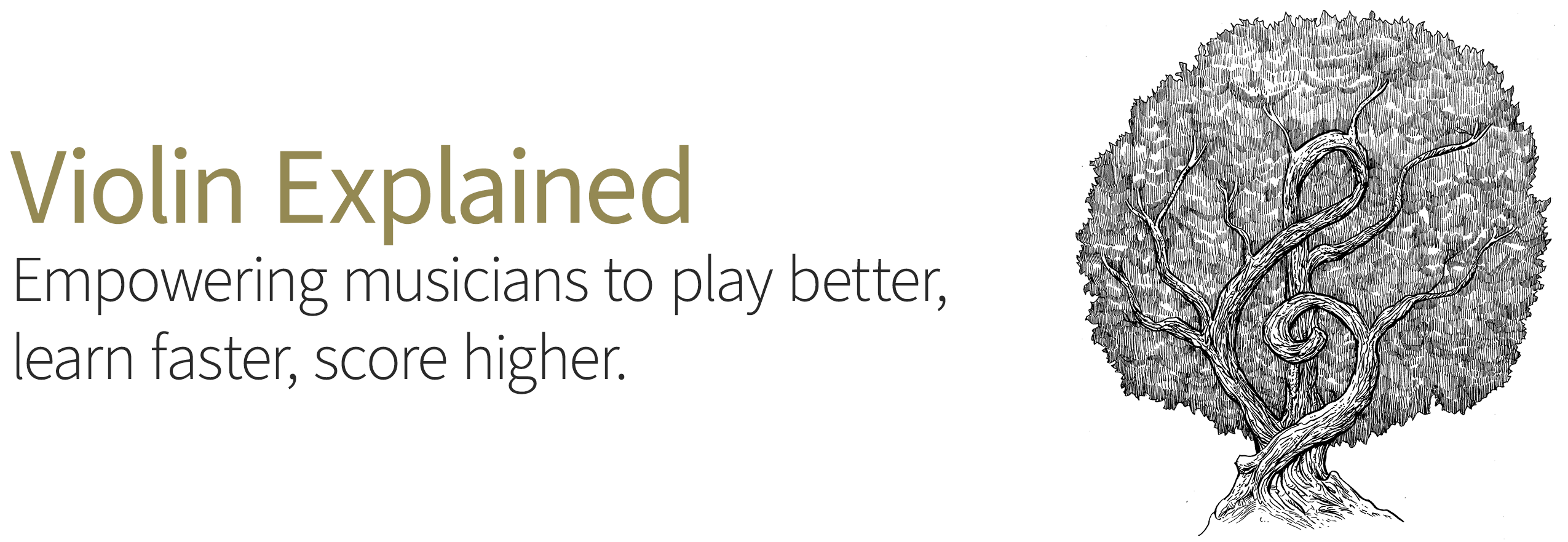 Violin Explained - Home